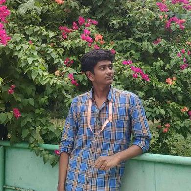 Raja 12377 Raja Vignesh P Github