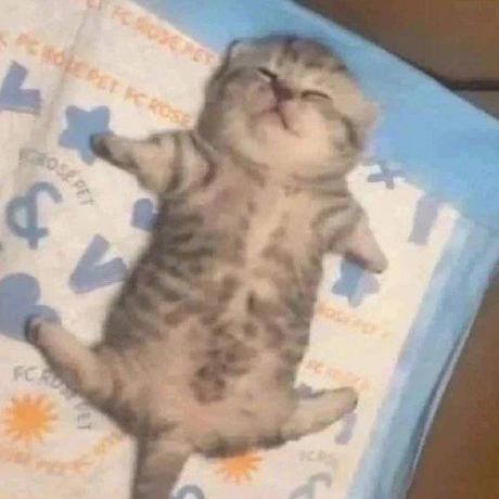 Gamezonetron кирилл александров Github