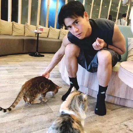 Li Keli Taiyi Github