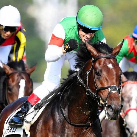 Shibasaki Fumihiro Github