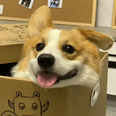 Riolys Yisu Liu Github