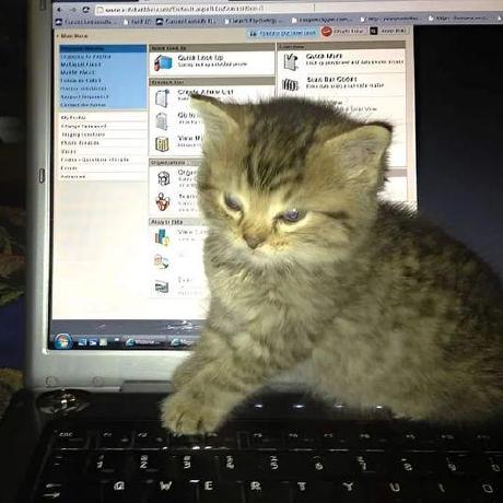 Momen Mkadry Mo Men Kadry Github