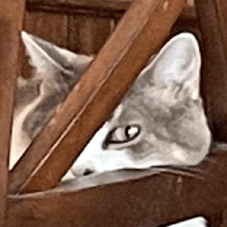 Rory The Game Github