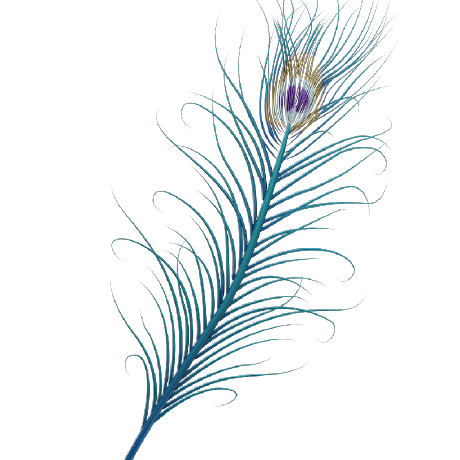 The Peacock Project Github