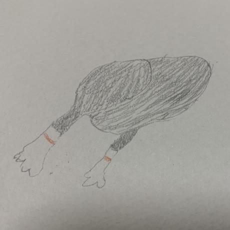 Kuroda Naoki Marukoge Github