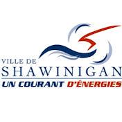 Shawinigan Ville De Shawinigan Github