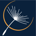 Astera Institute Github