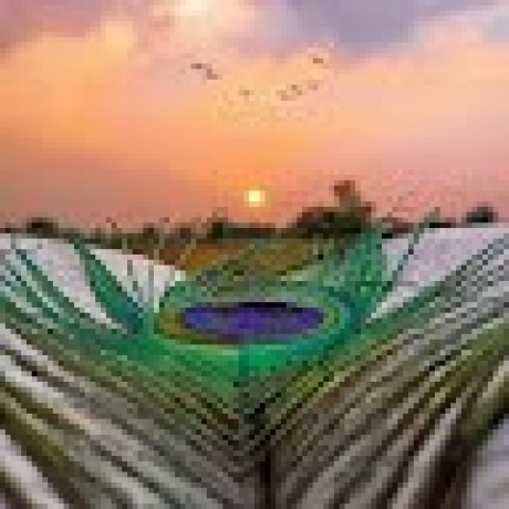 Atuljedge Atul Jedge Github