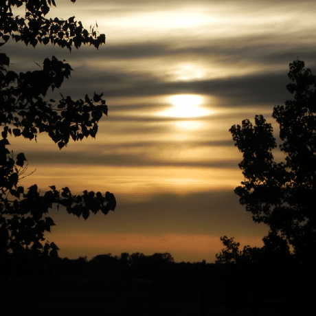 Sb Simon Github - Classic Minimal Picture - Desktop