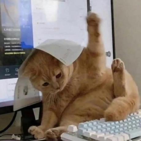 Noernova Norhsangpha Github