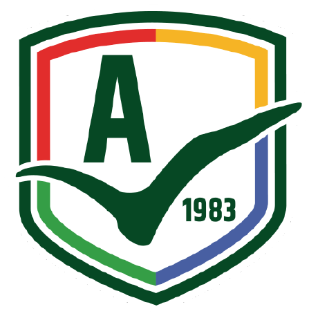 Allison Academy Coding Github