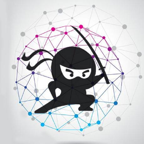 Thenetworkninja Network Ninja Github
