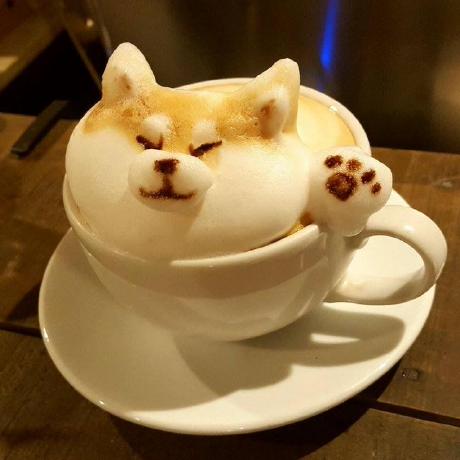 Alissa L Alissa Github