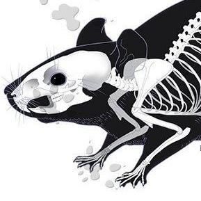 Github You Wouldnt Reverse Engineer A Rat Hero Re Reverse - Best Light Images in HD