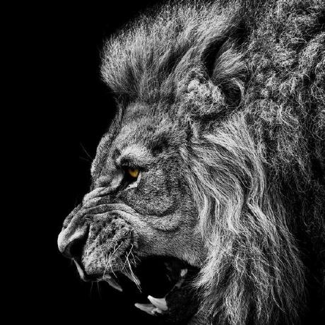 Joh Hansen Johnson Johansen Github