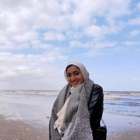 Menna Ibrahim Menna Github