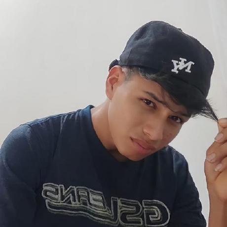 Brignercarrielr Github