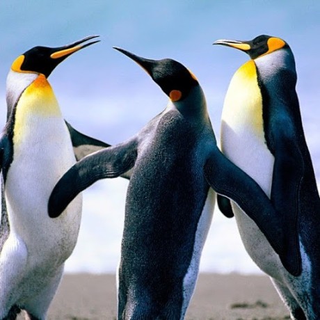 Github Dherse Codly A Typst Package For Even Better Code Blocks - Download Gorgeous Dark Image | Retina