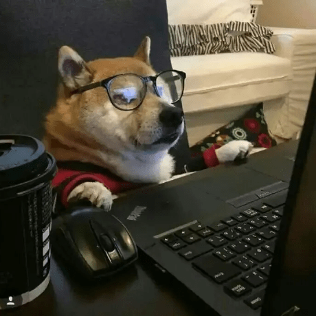 Jamesbrosy Jo Carllyle Github