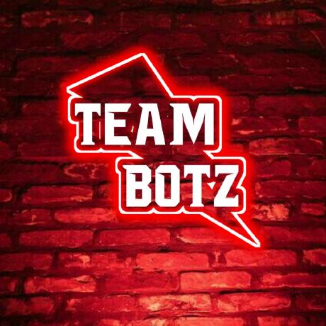 Team Botz Github