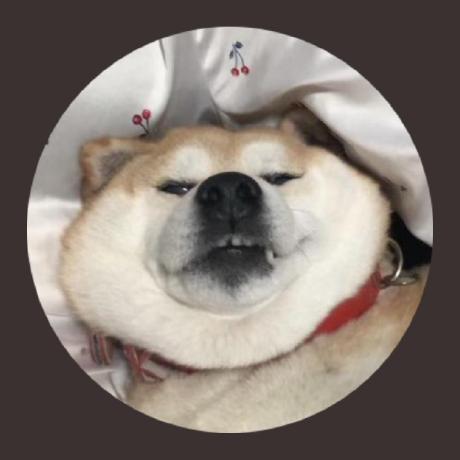 Naonao3 Naoto Nishimura Github