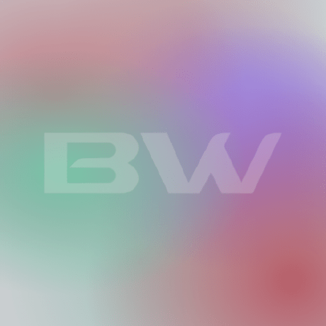 Silent Brad Brad White Github