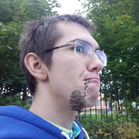 Antongrin Anton Grinevskiy Github