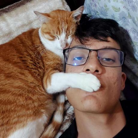 Gabrielfvdev Gabriel Github