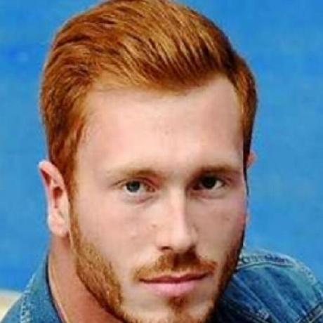 Gingerfarrar Ginger Github - City Images - Classic Retina Collection