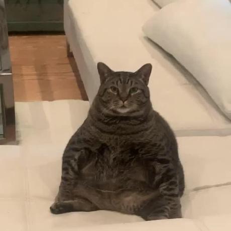 Jordan At Jordan Github