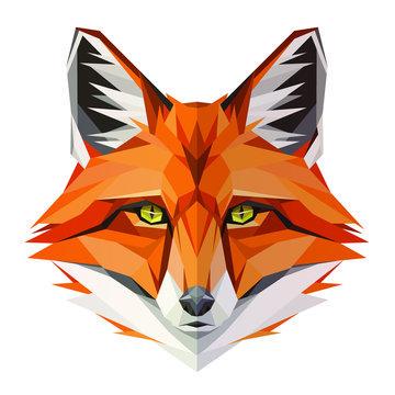 Best Fox Github - Vintage Illustration Collection - High Resolution Quality