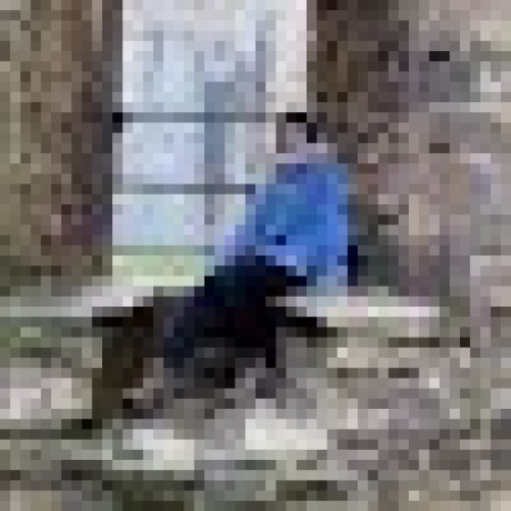 Sarah Michelle Github