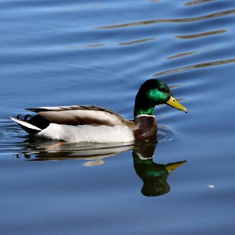 0xtim Tim Condon Github - Premium Landscape Photo Gallery - 8K