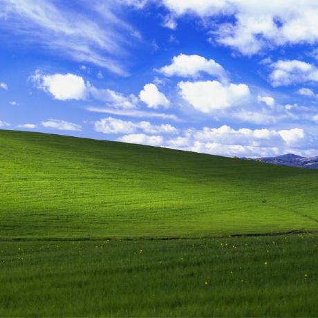 Illusion36541 Illusion Github