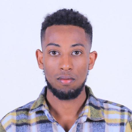 Sagni Prog Sagni Alemayehu Github