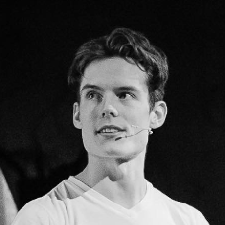 Raphaelmosaic Raphael Github