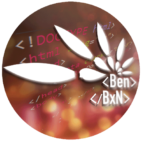 Benbxn Benoit D Github