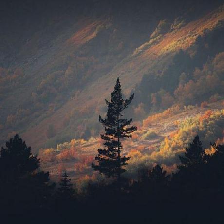 Fernando V Fernando Github