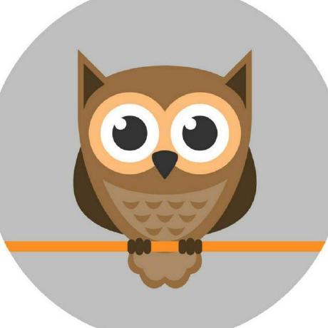 Codeowl Github