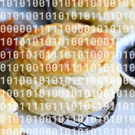 Encrypted Biscuit Github