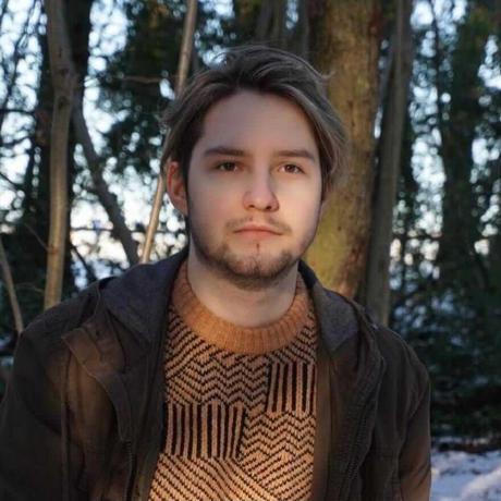 Dorlov Disguise Daniil Orlov Github