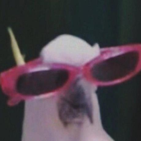 2302nikolay Nikolay Github