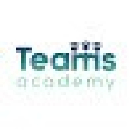 Teamsacademy Github