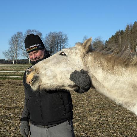 Anders H Anders Hesselbom Github