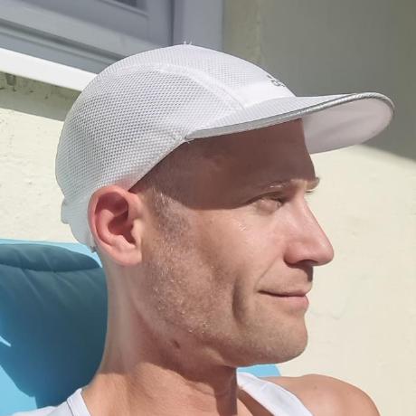 Fabian S Fabian Scheipl Github