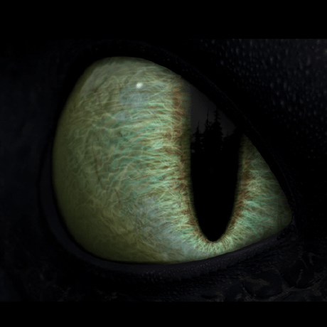 Github Firefly Iii Import Configurations Support Repository User