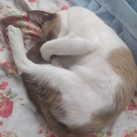 React Native Katex Examples Codesandbox - Perfect HD Vintage Images | Free Download