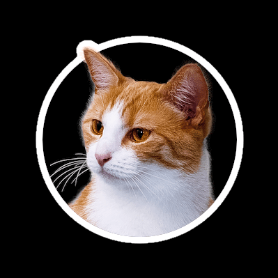 Github Peter12908 Peterbot