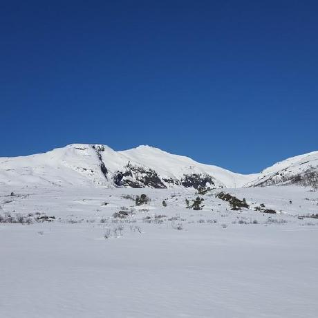 How To Resize Watch Node Faq Dynamo