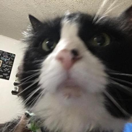 Cc Tweaked For Fabric Discontinued Minecraft Mod